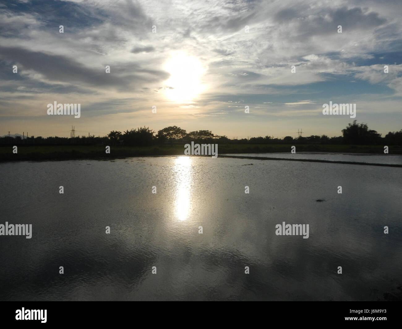 The image shows paddy fields and grasslands in Sumacab Sur Norte ...