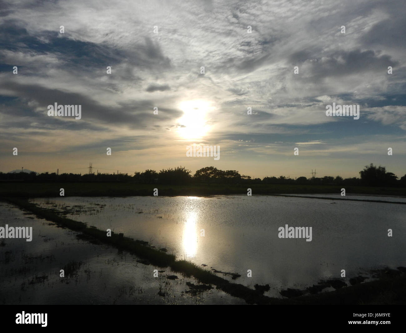The paddy fields and grasslands of Sumacab Sur Norte, located in ...