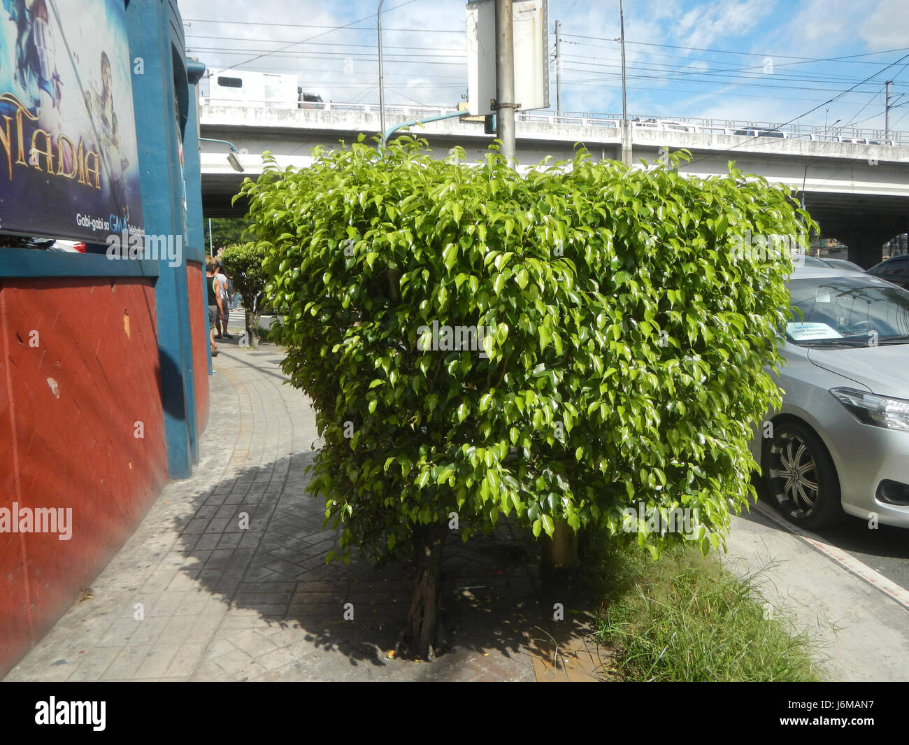 An image capturing the Edsa Timog Avenue Flyover, a major ...