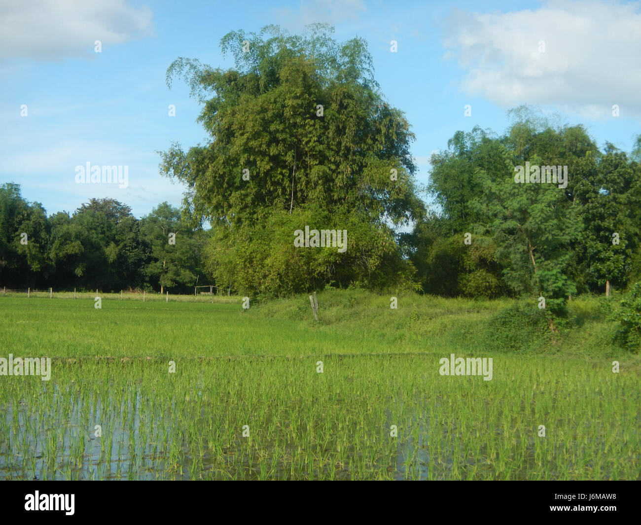 This location in Bulacan, Philippines, is known for its roads and ...