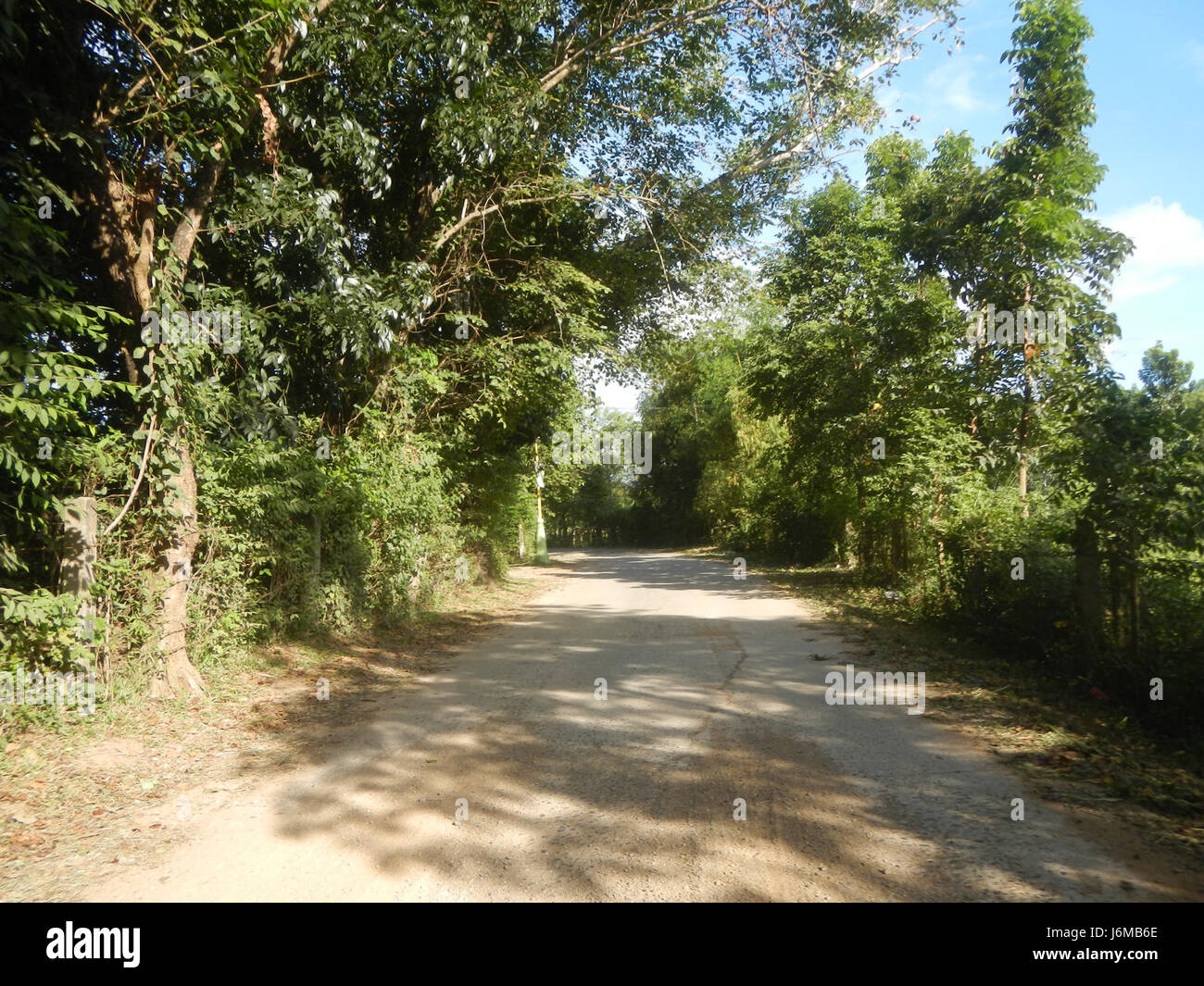 This image highlights the rural area of Bulacan, Philippines, focusing ...