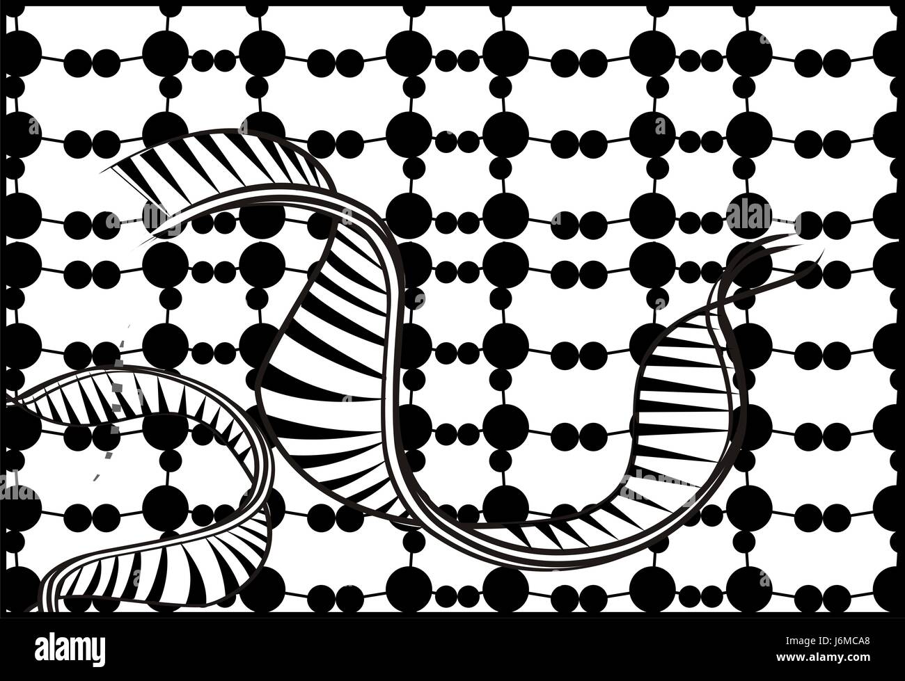 cell anatomy chromosome silhouettes molecular model health life exist ...