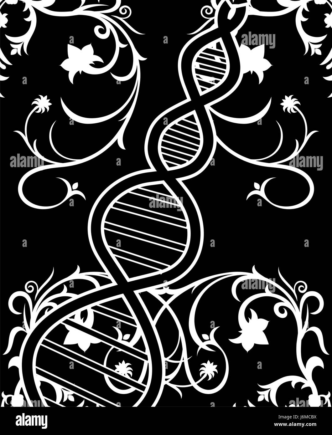 Plant cell model Black and White Stock Photos & Images - Alamy