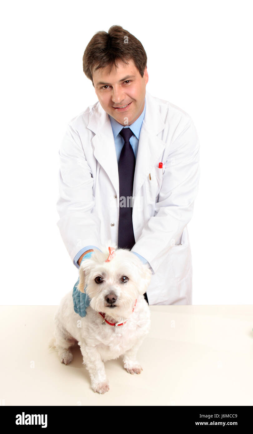 animal pet fur dog canine vet veterinarian humans human beings people ...