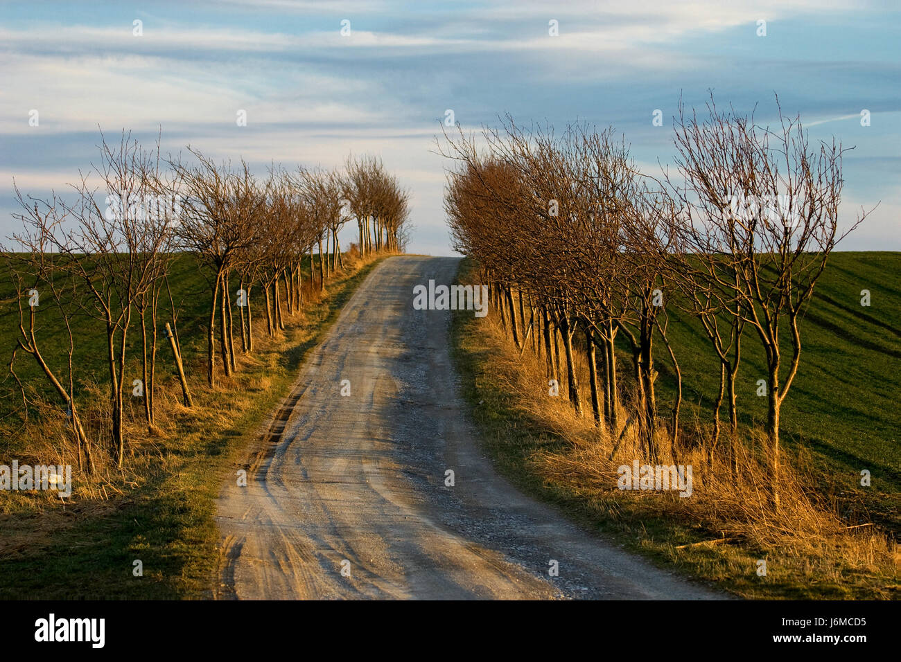Golden resin hi-res stock photography and images - Alamy