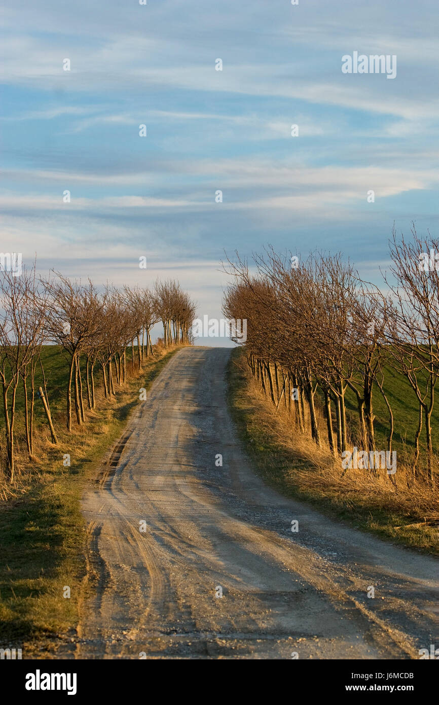 golden way 1 Stock Photo - Alamy