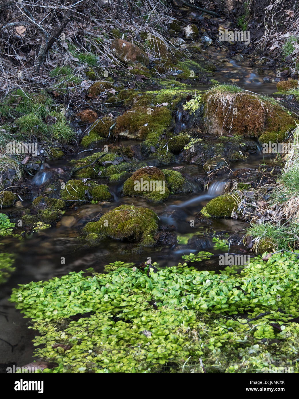 Water from a Spring Falls over Rocks Stock Photo - Alamy