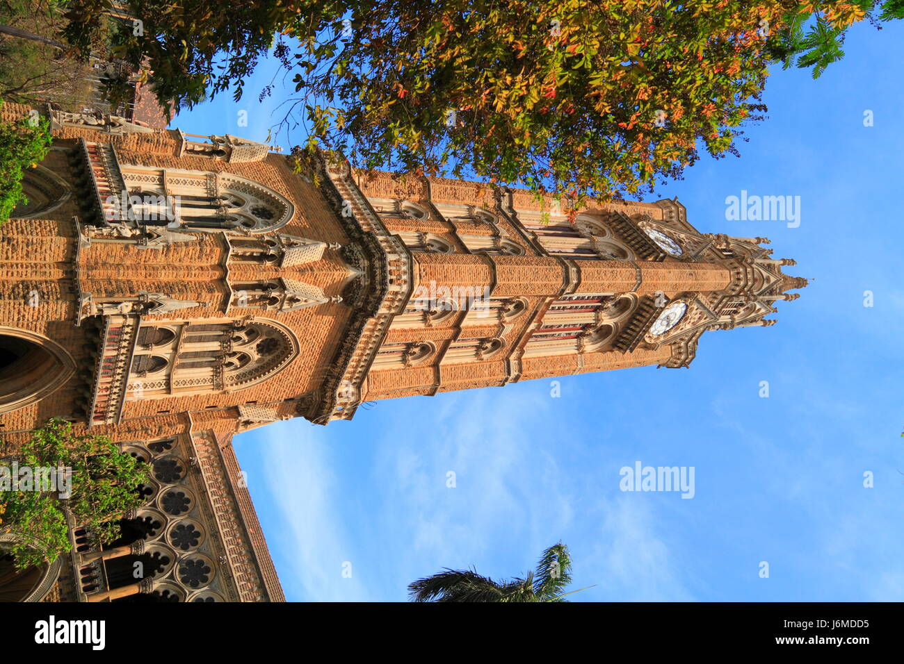 the university of mumbai Stock Photo - Alamy