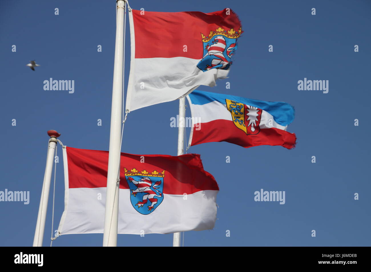 flags in the wind Stock Photo - Alamy
