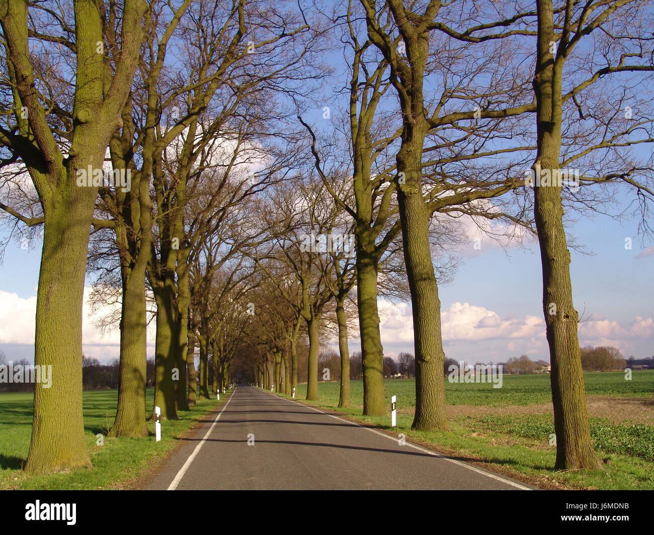 Brandenburger allee hi-res stock photography and images - Alamy