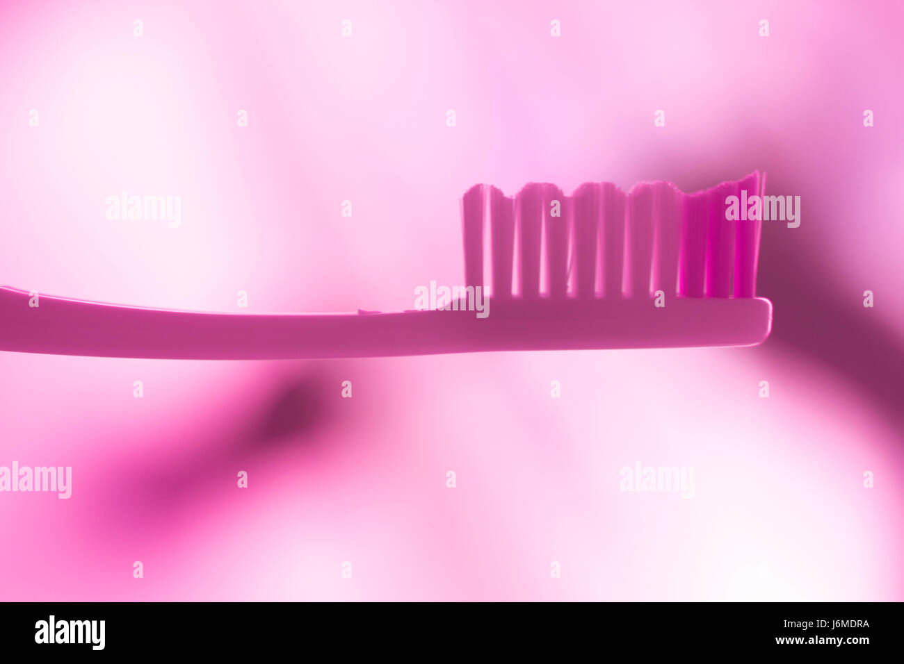 Dental toothbrush to clean teeth isolated in bathroom closeup Stock ...