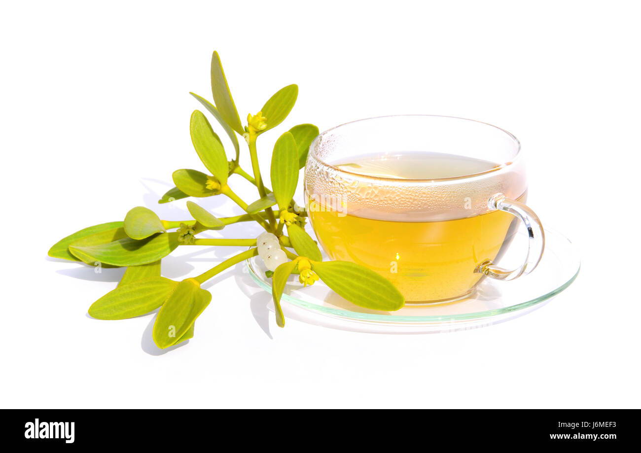 tea mistletoe - mistletoe tea 05 Stock Photo - Alamy