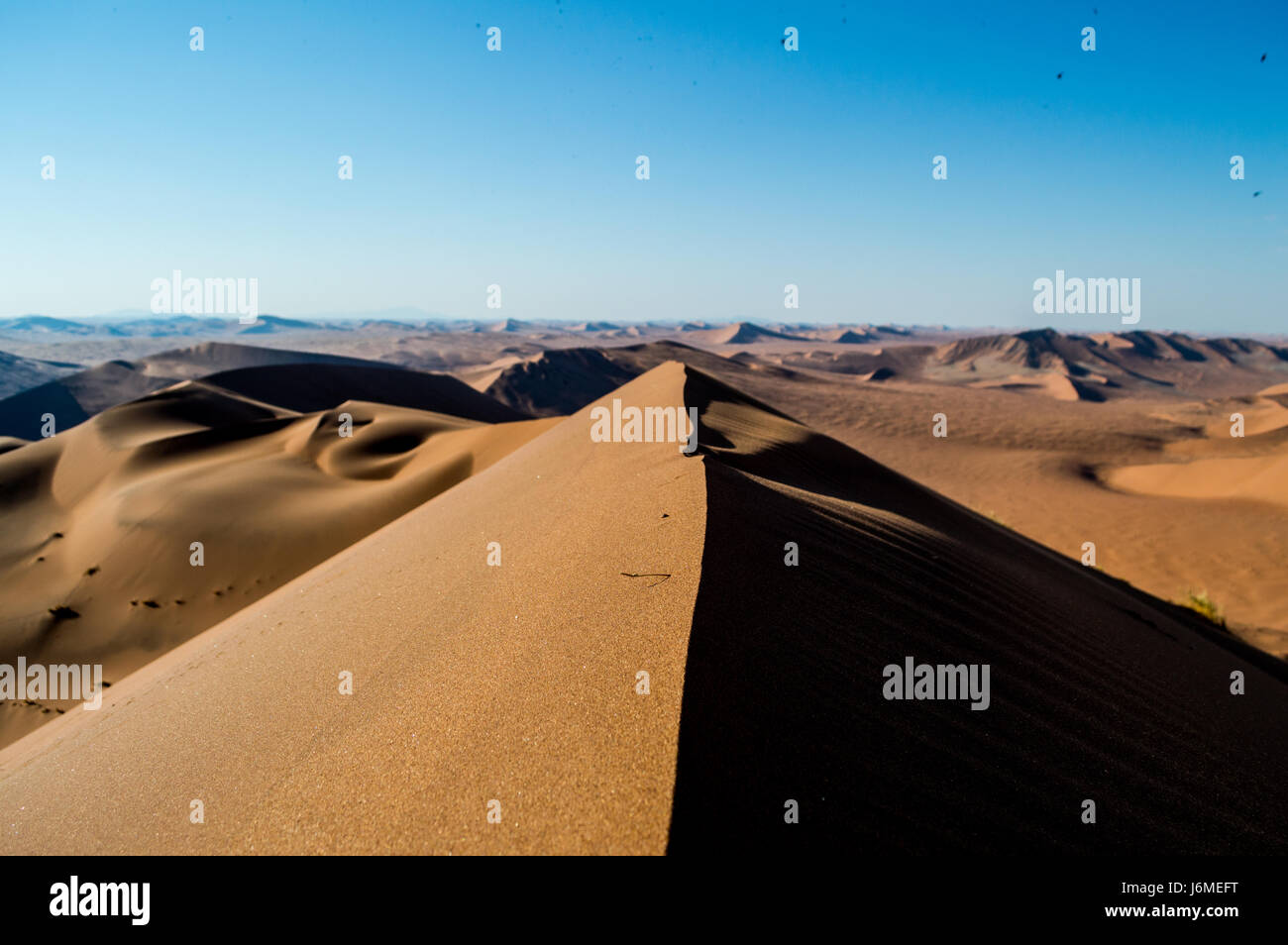 Summit of Big Daddy Dune View onto Desert Landscape, Sossusvlei ...