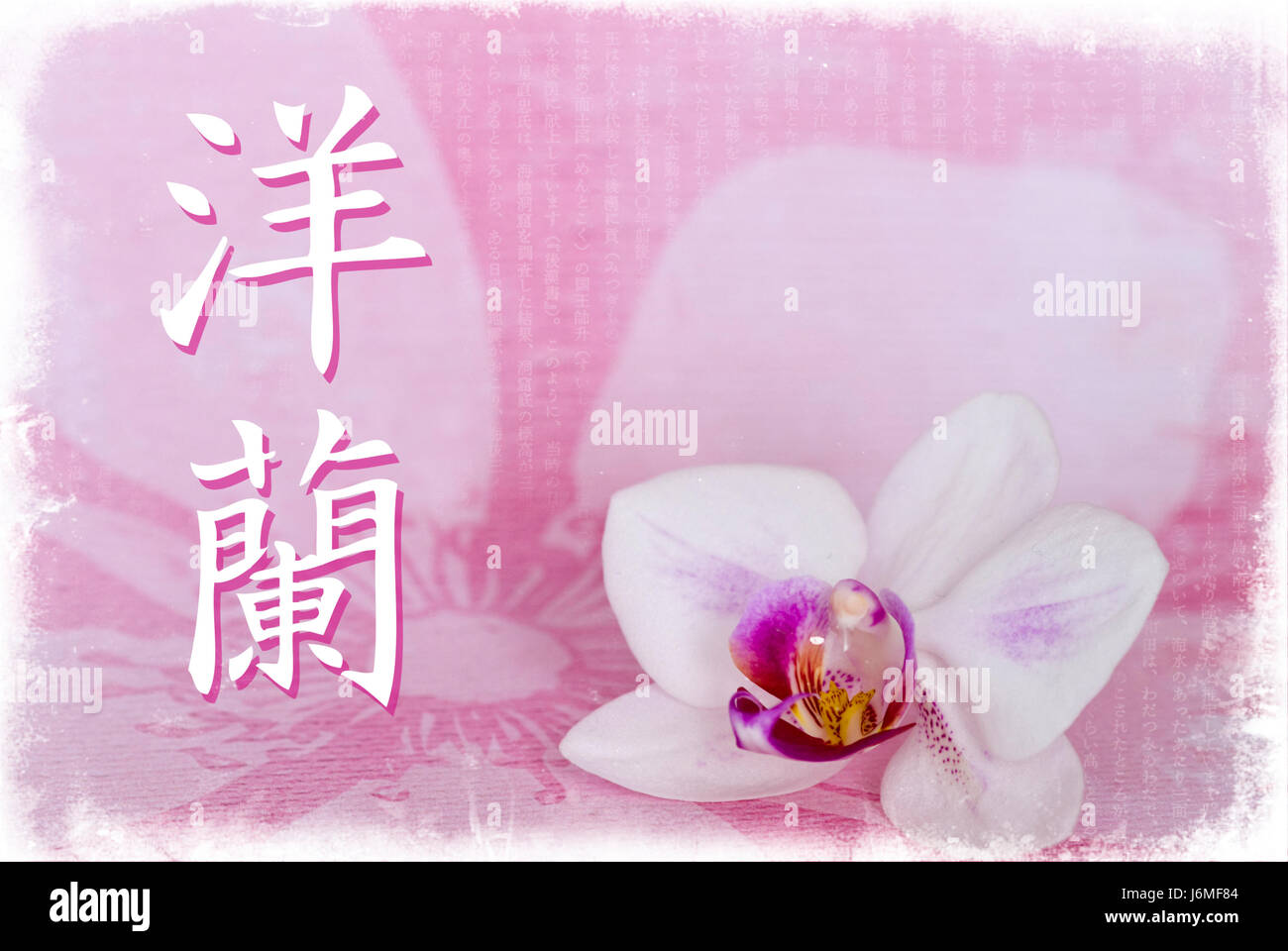 orchid,chinese symbol for orchide Stock Photo - Alamy