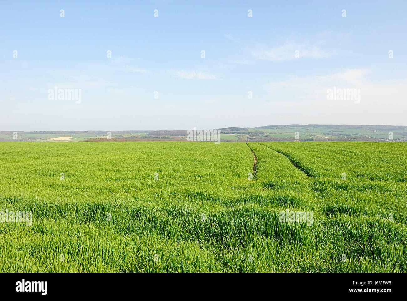 agriculture farming field spring fields acre cultivation grain cereal ...