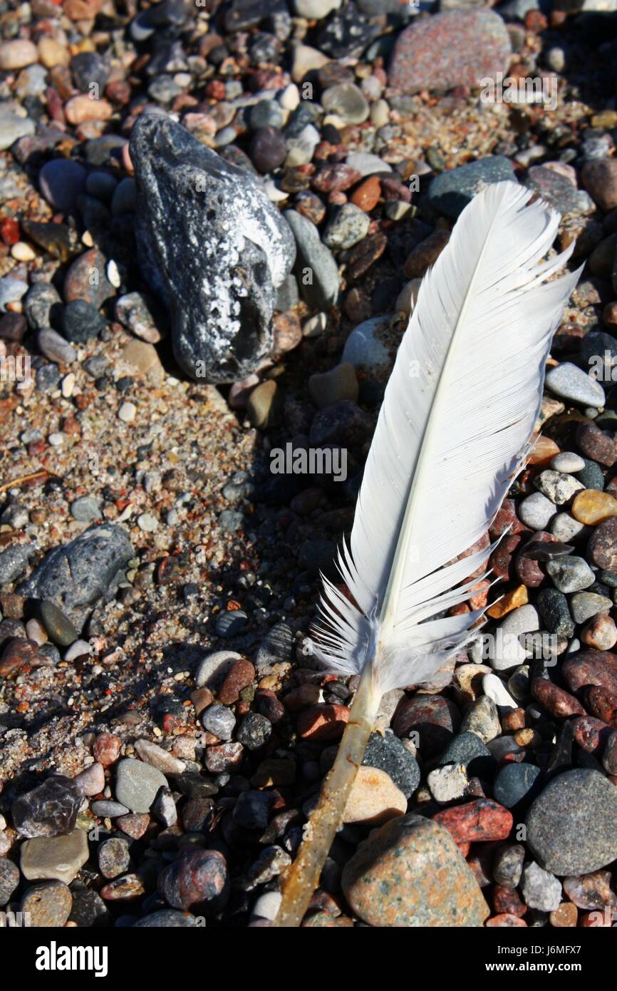 spring on the beach Stock Photo - Alamy
