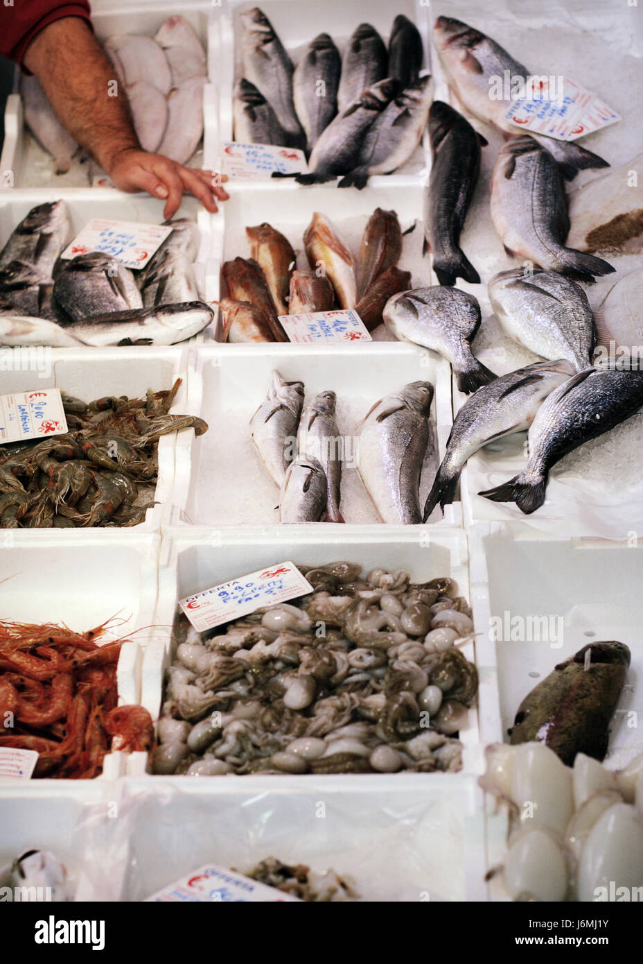 fish market rome Stock Photo - Alamy