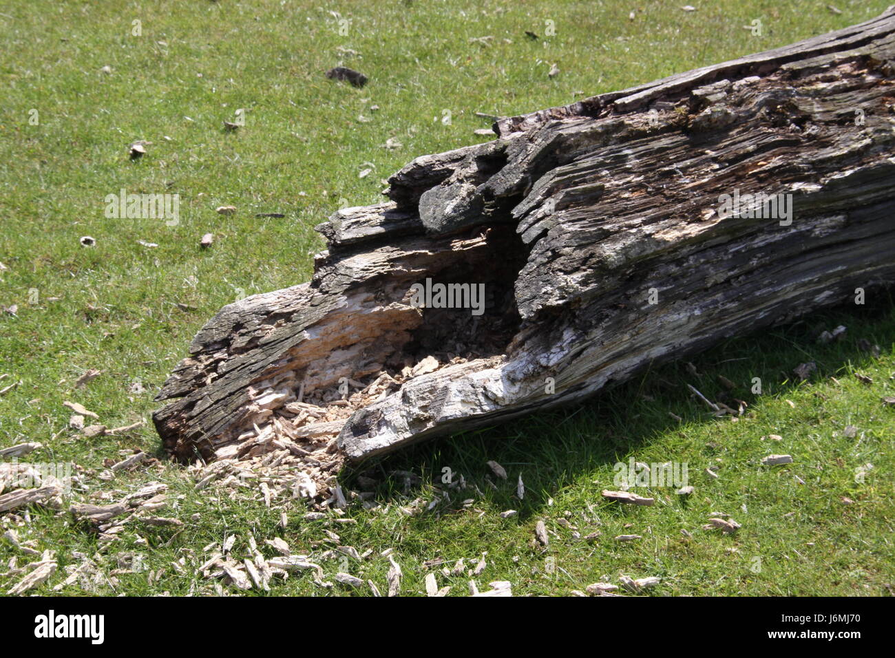 Hollow punch hi-res stock photography and images - Alamy