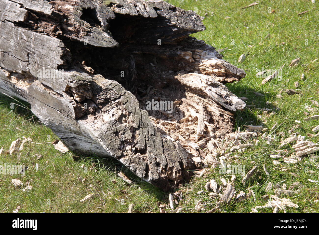 Hollow punch hi-res stock photography and images - Alamy