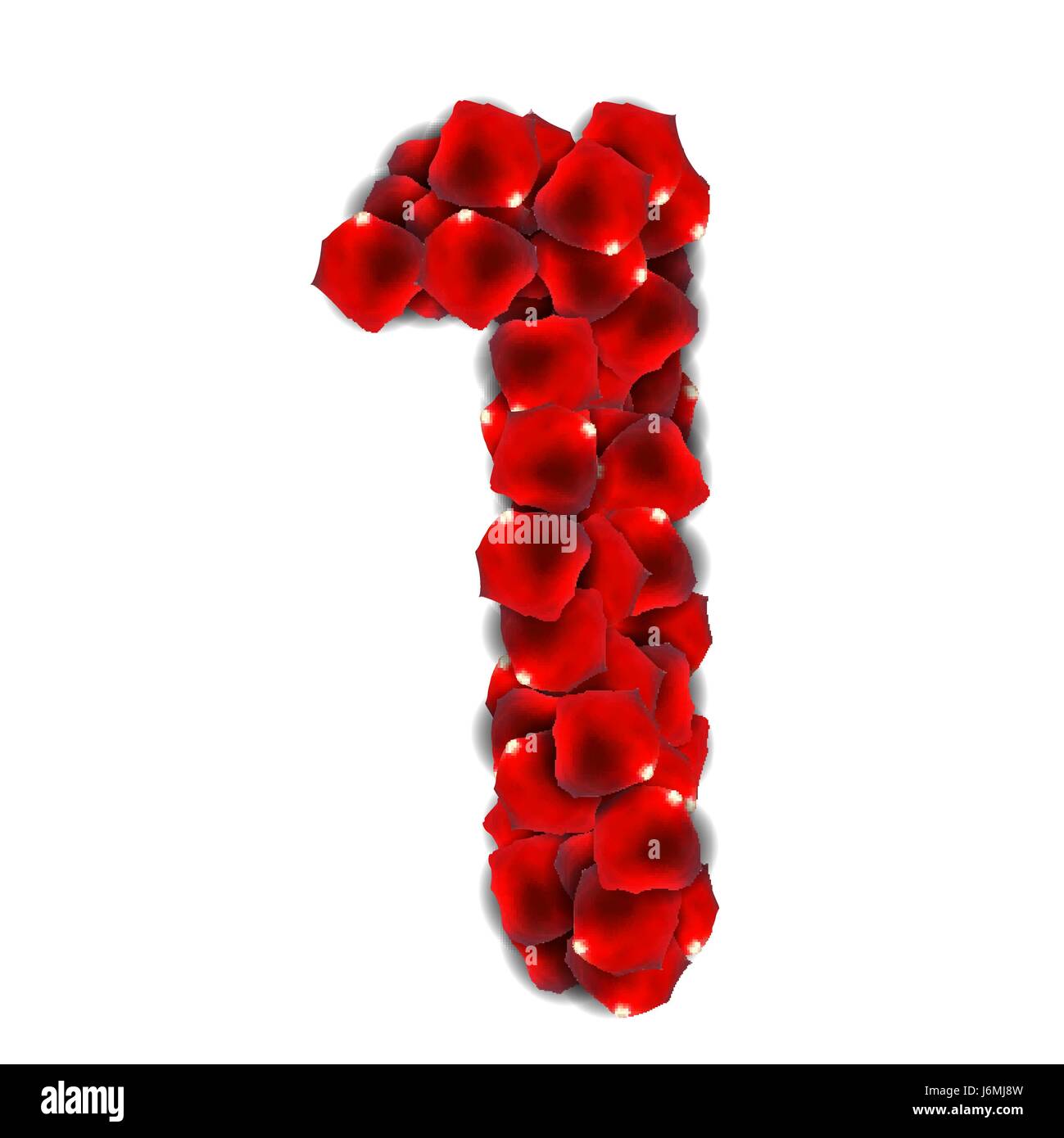 Rose Petals Realistic Number Vector Illustration Stock Vector Image ...