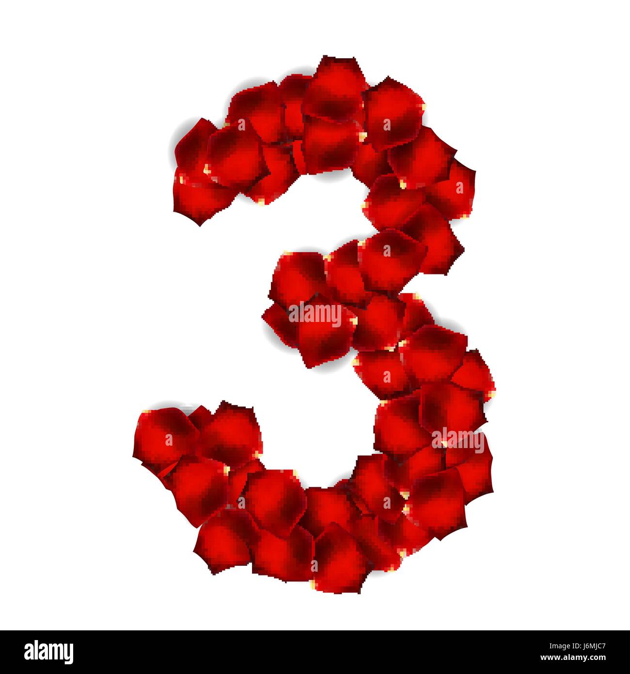 Rose Petals Realistic Number Vector Illustration Stock Vector Image ...