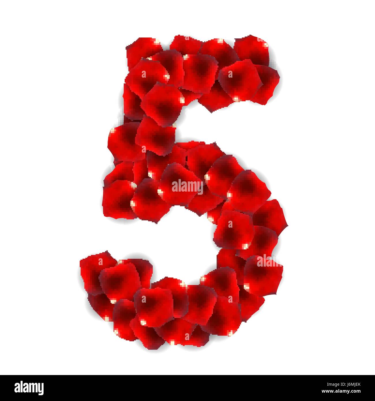 Rose Petals Realistic Number Vector Illustration Stock Vector Image ...