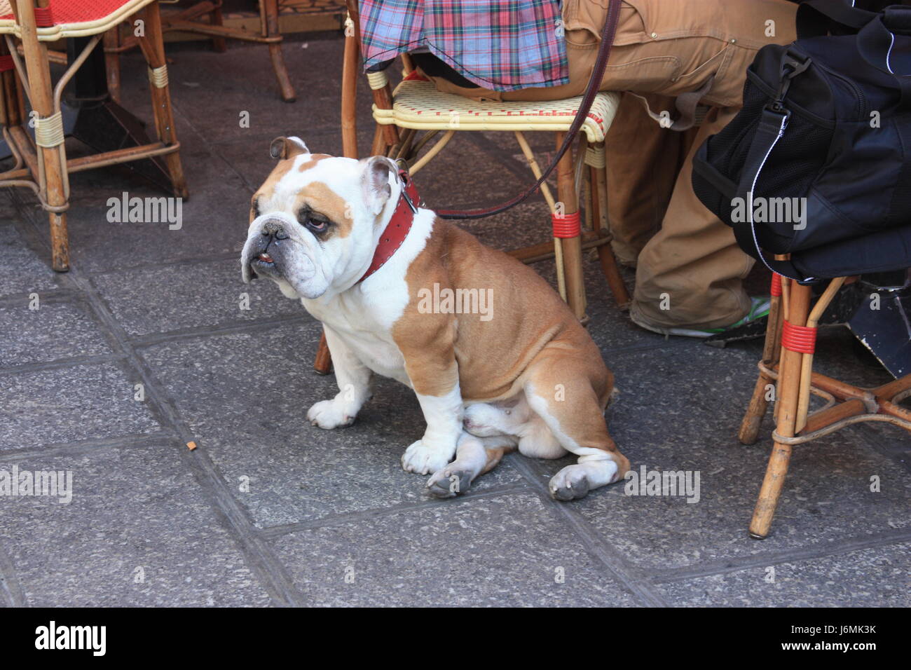 Mobs hi-res stock photography and images - Alamy