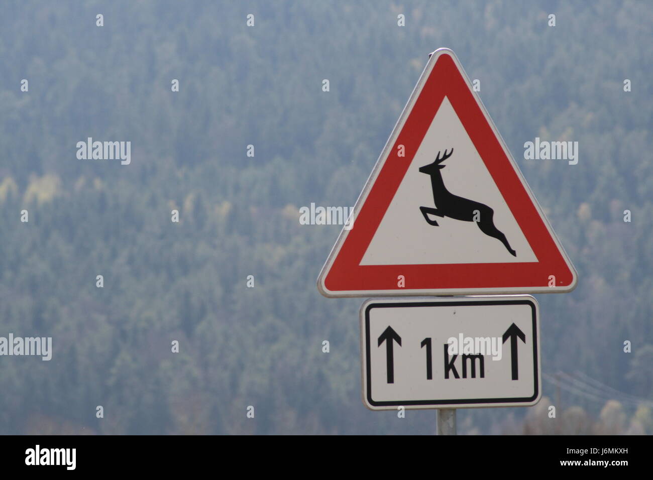 horns wild animal game pass roe hart stag sign signal traffic ...