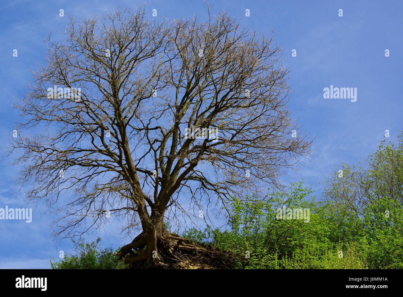 Kalkgrube hi-res stock photography and images - Alamy