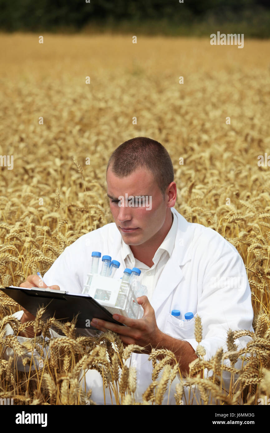 scientists in the field Stock Photo - Alamy