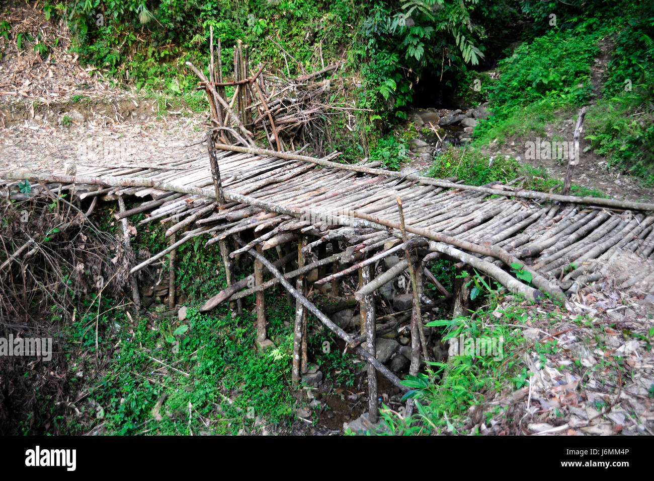 bridge in the jungle Stock Photo - Alamy