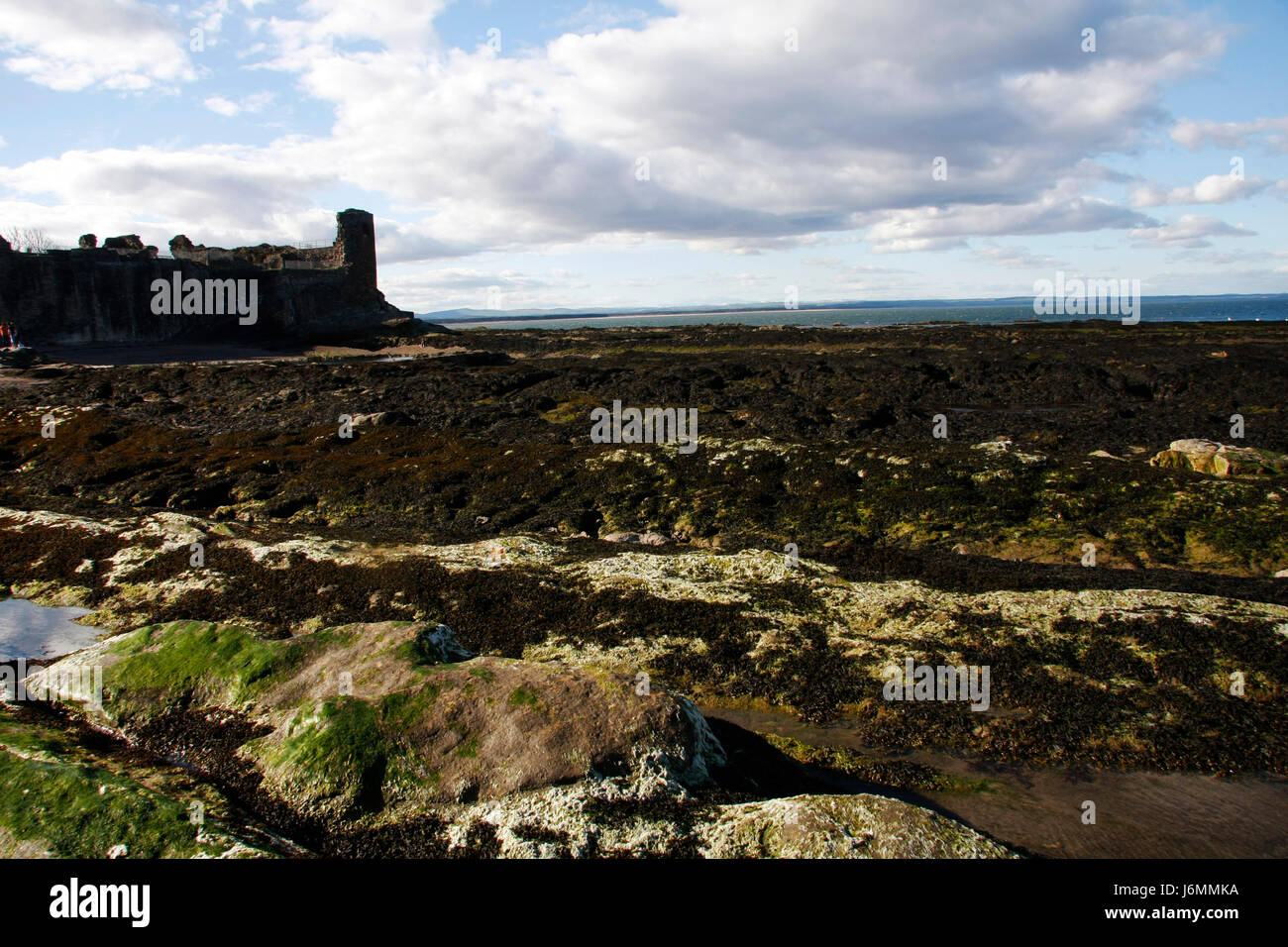 scotland reef tides tide castle low fife salt water sea ocean water ...