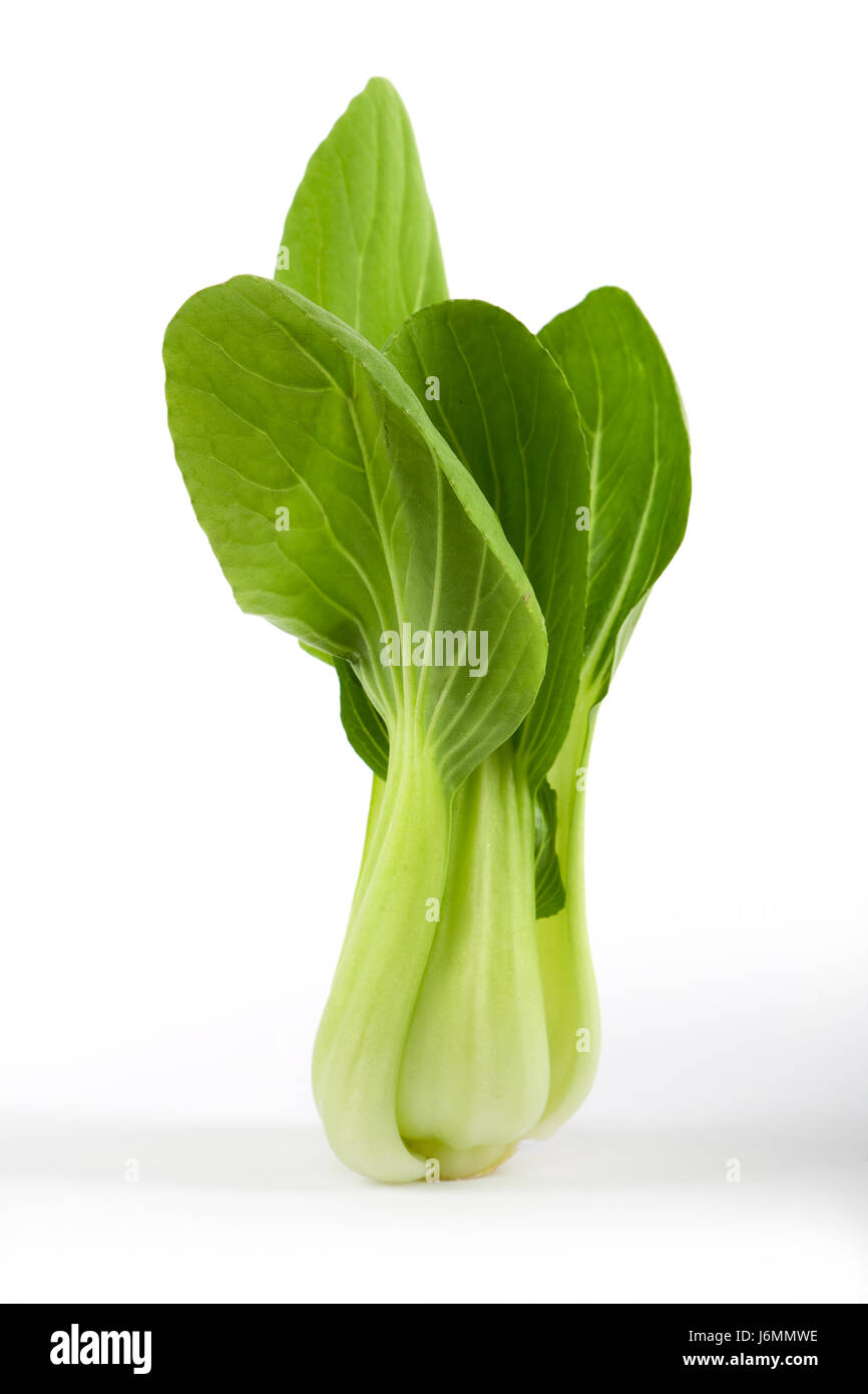 Pok Cut Out Stock Images & Pictures - Alamy