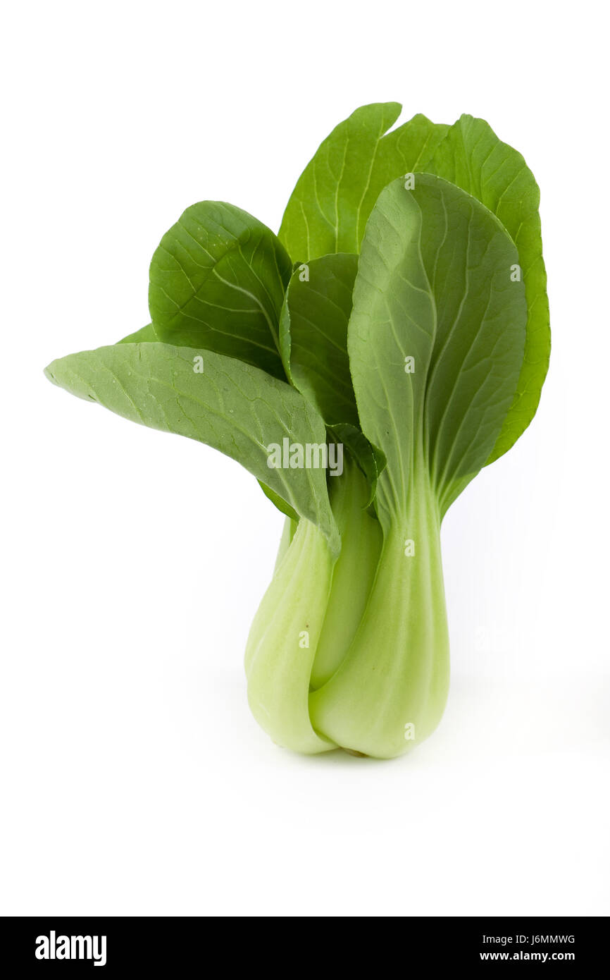 vegetable leaf asiatic vegetable spinach chinese cabbage salad plant ...