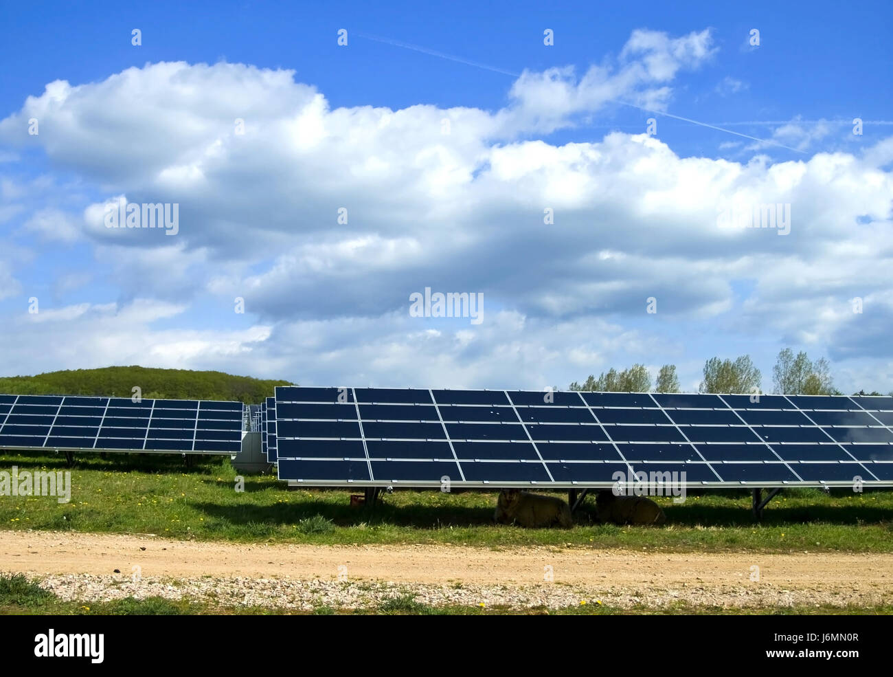 animals sheep (pl.) nonpolluting solar energy climate protection shine ...