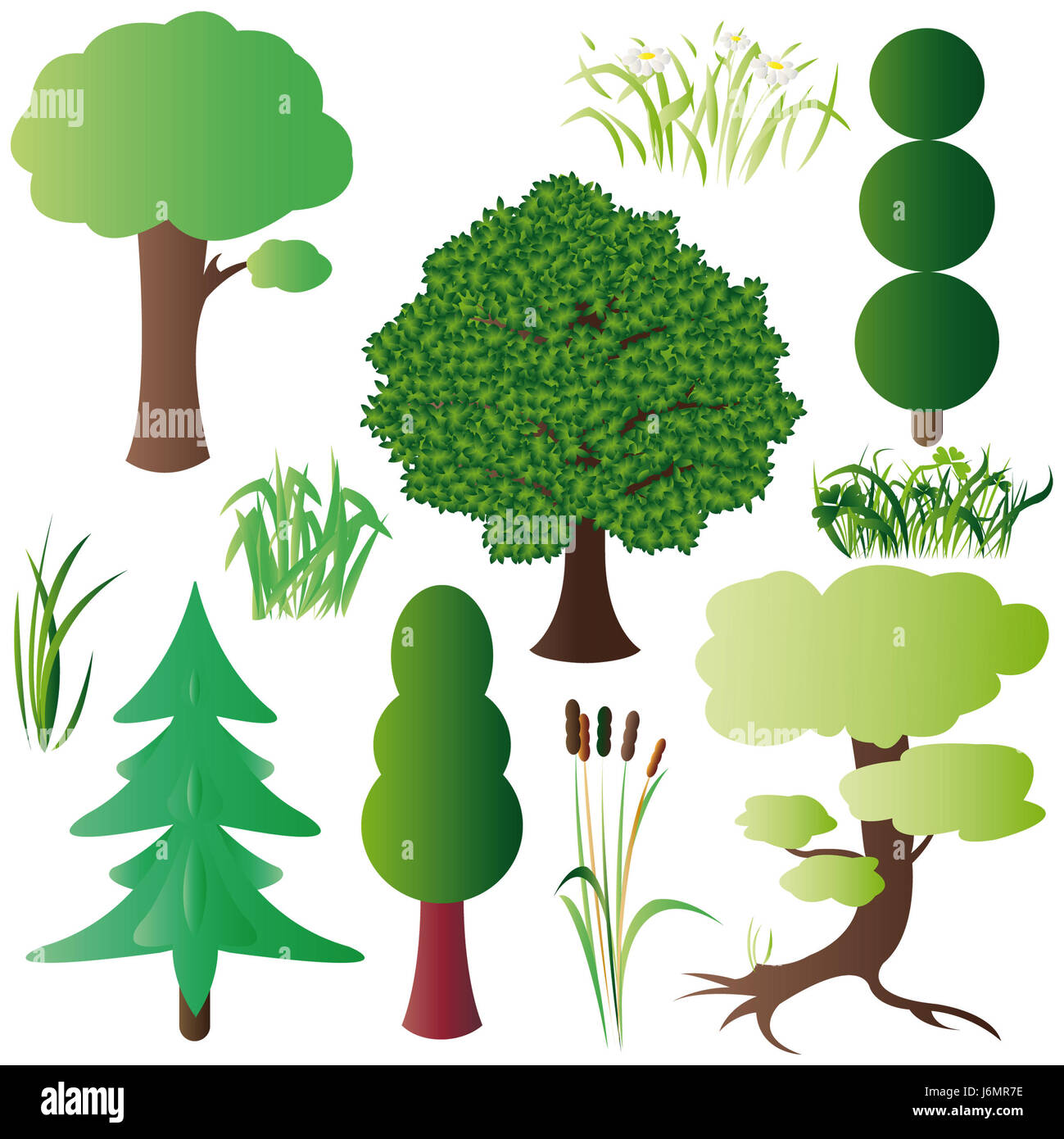 tree deciduous tree reed conifer blade of grass meadow grass lawn green ...