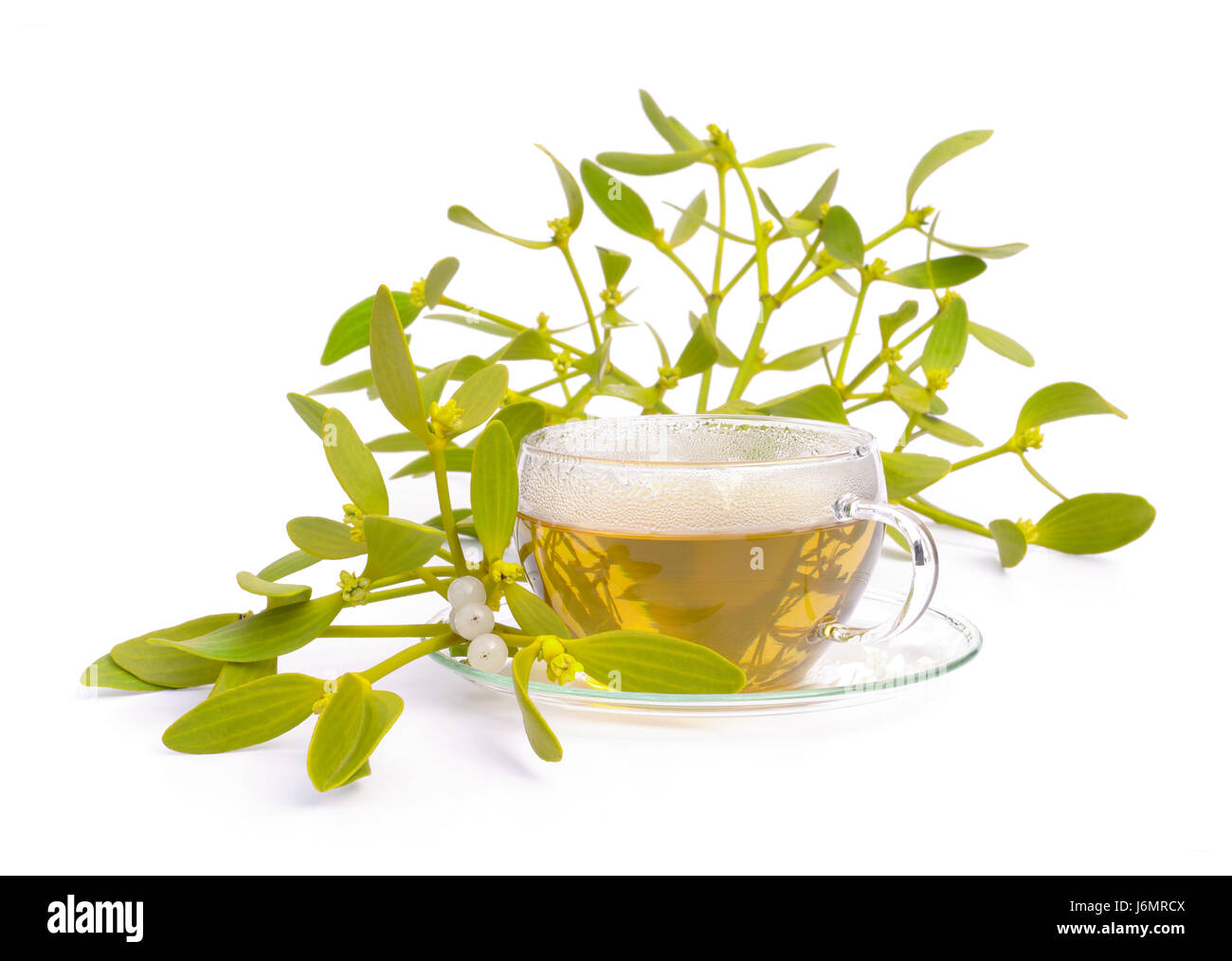 tea mistletoe - mistletoe tea 04 Stock Photo - Alamy