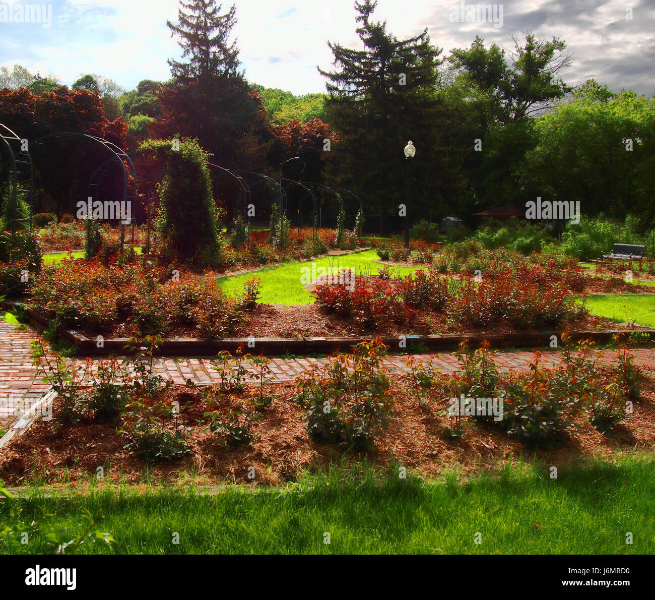 Rose garden gazebo hi-res stock photography and images - Alamy