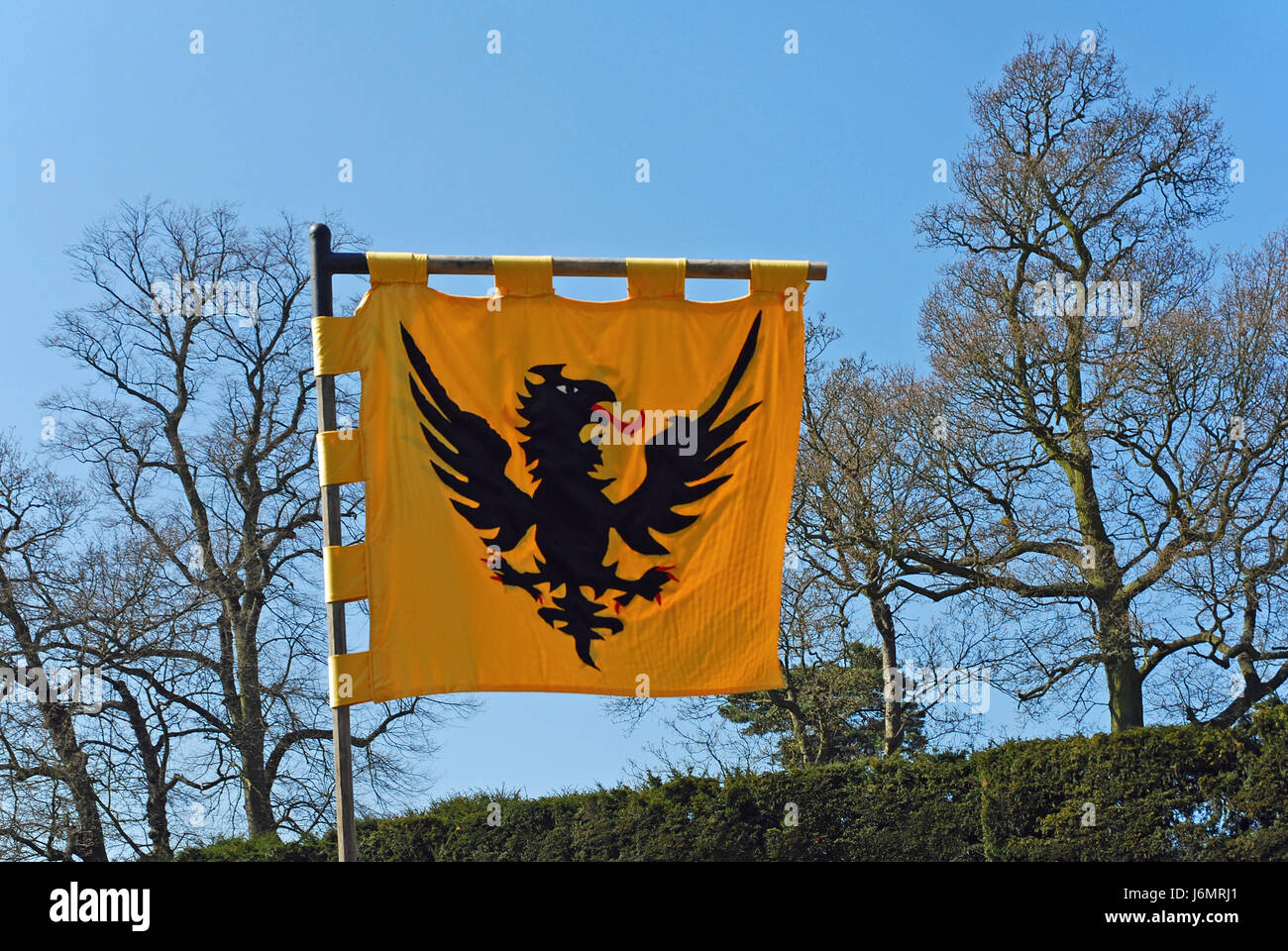 English Emblem Stock Photos & English Emblem Stock Images - Alamy