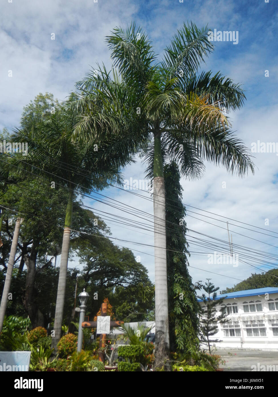 The Immaculate Conception Seminary in Guiguinto, Bulacan, is a ...