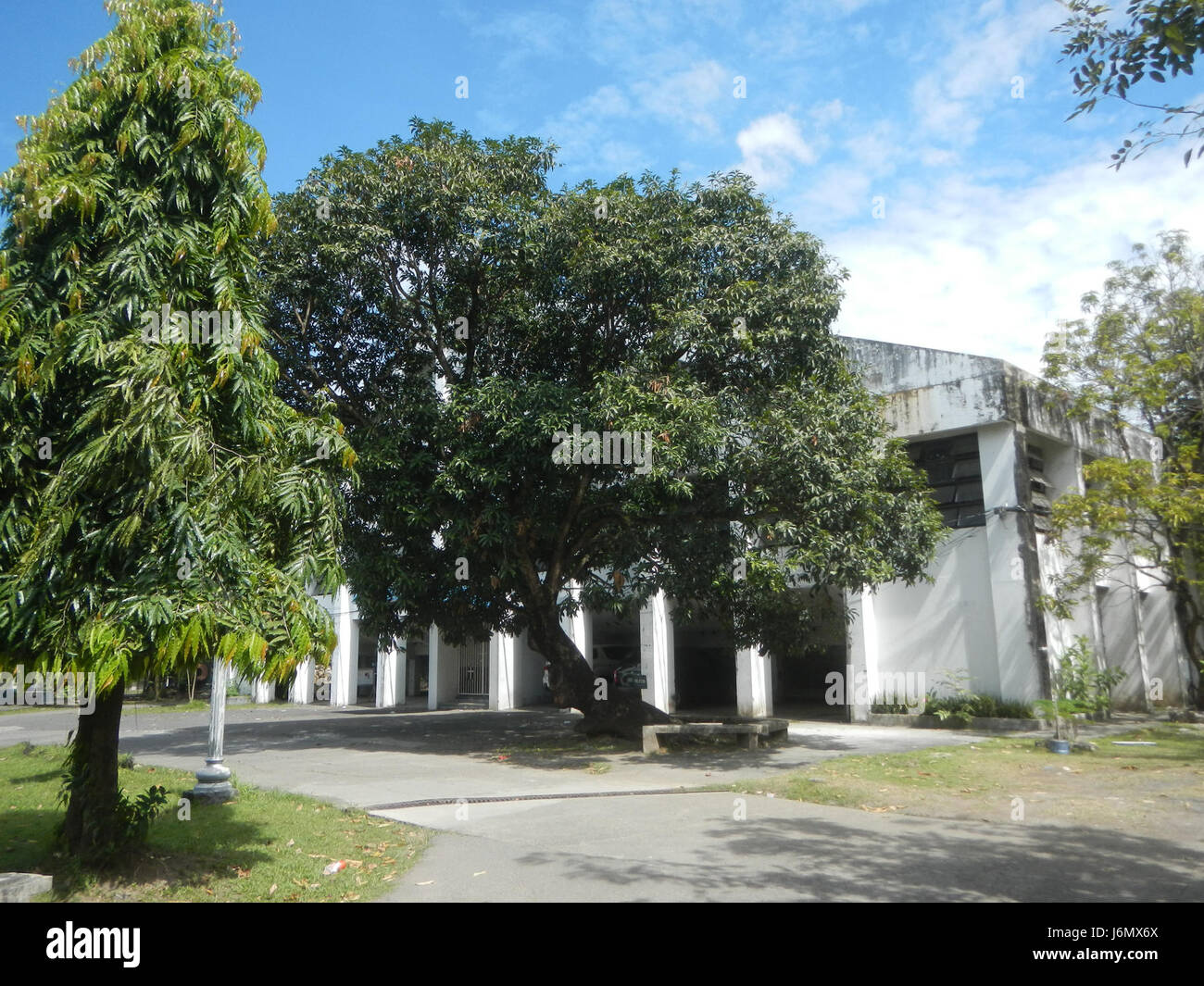 This photo depicts the Immaculate Conception Seminary in Tabe ...