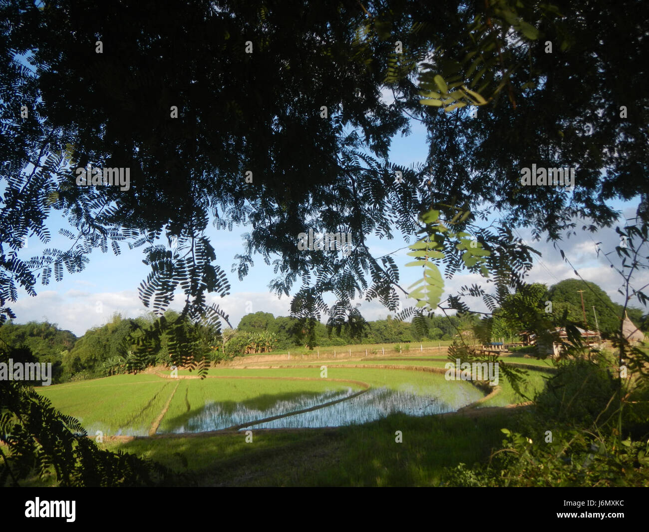 This title references various locations within Bulacan, Philippines ...