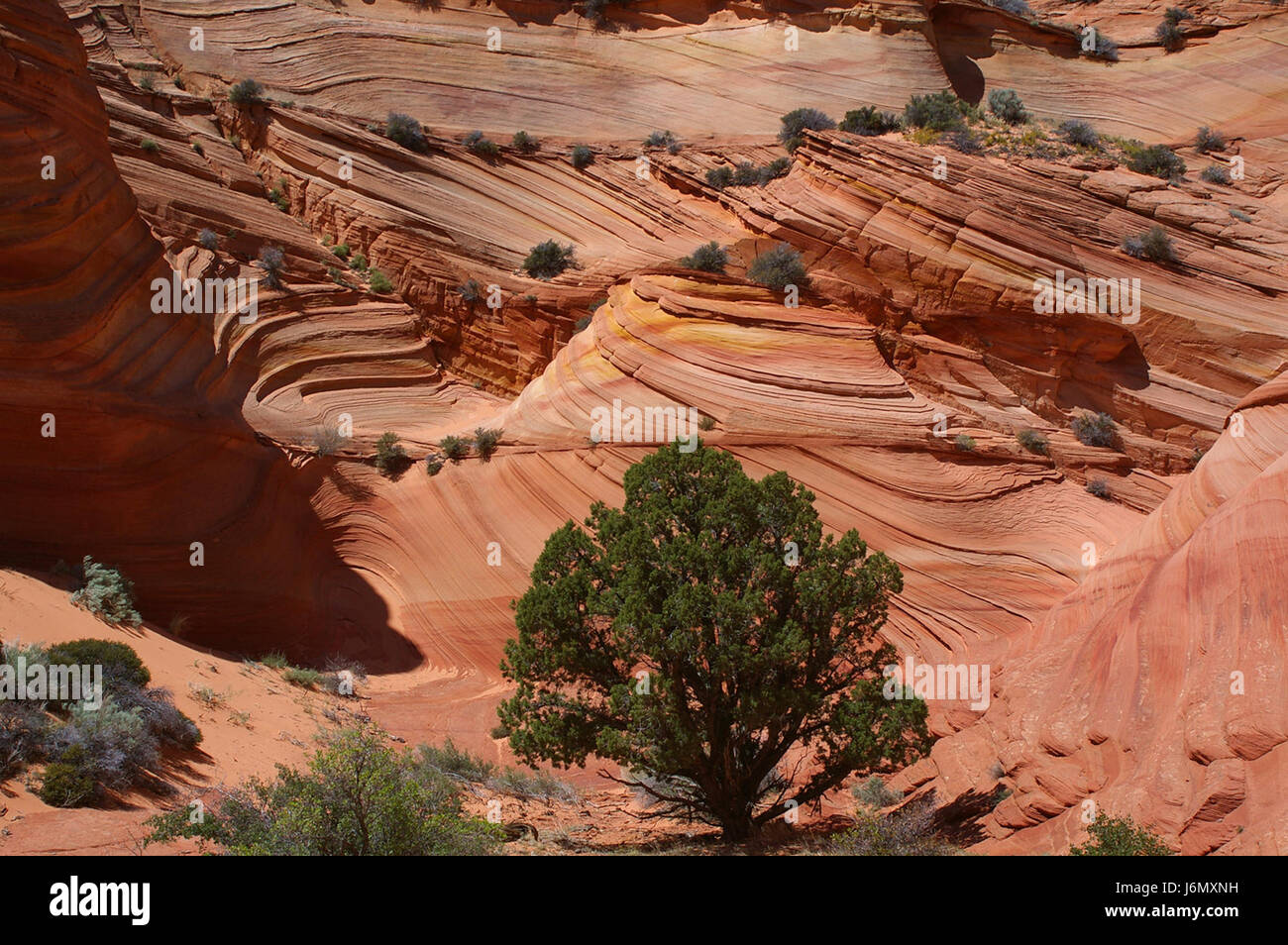 South Coyote Buttes is a geological area located in the American ...