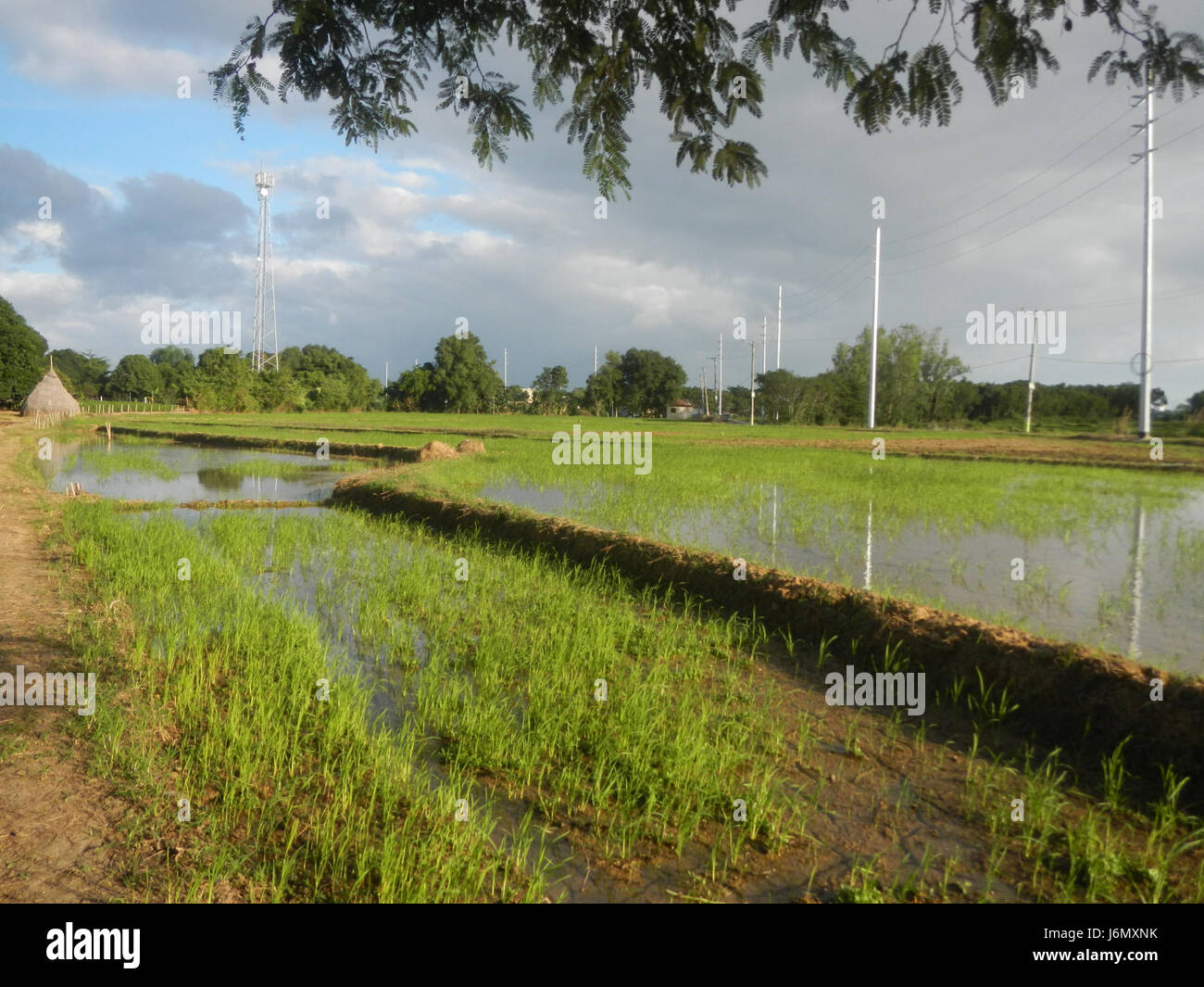 A snapshot of the road through Mabalas Balas, Diliman I, Salapungan ...