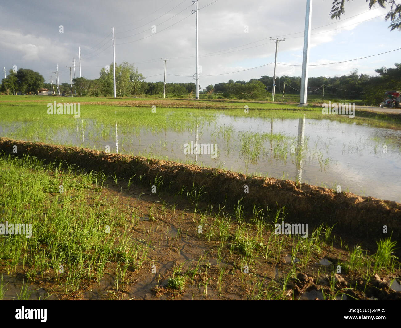This image shows the rural roads in the Bulacan region, specifically ...