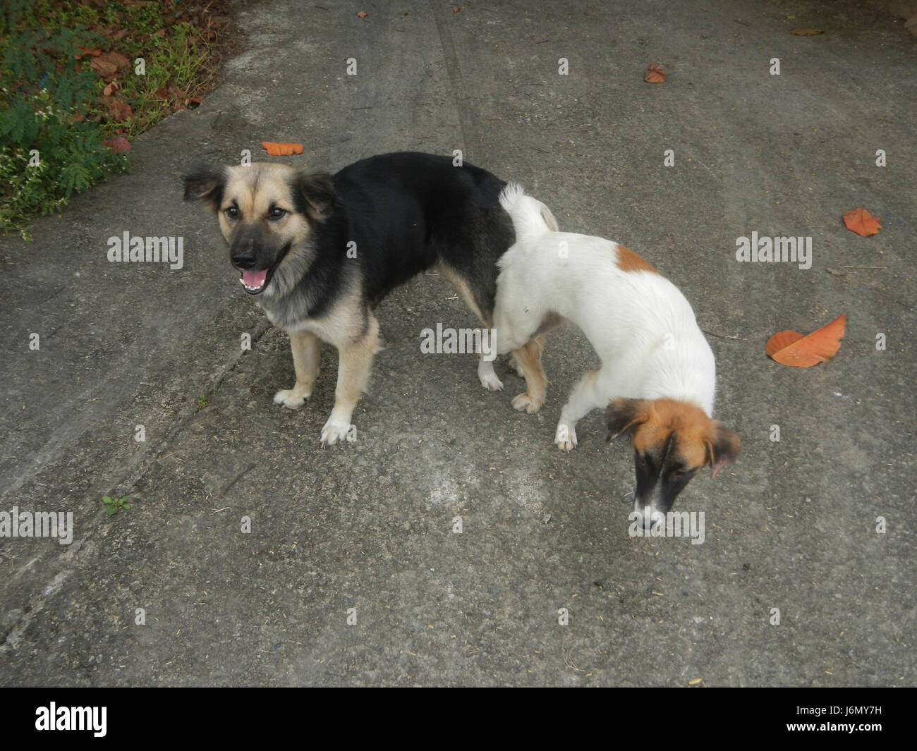 This reference may depict an early 20th-century photograph or artwork ...