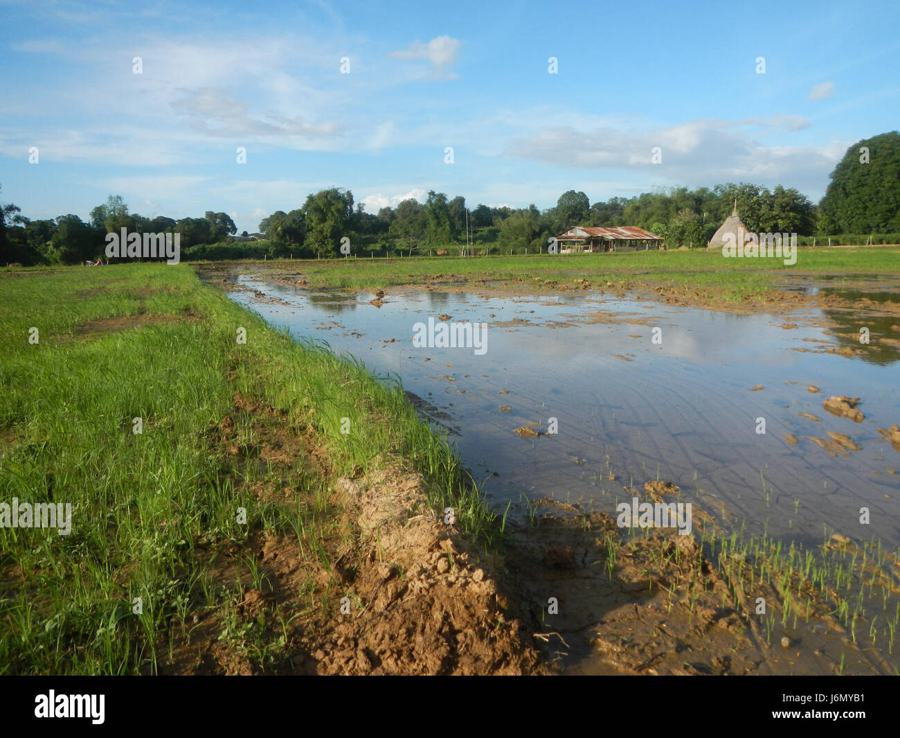 This image shows a road in San Rafael, Bulacan, Philippines, linking ...