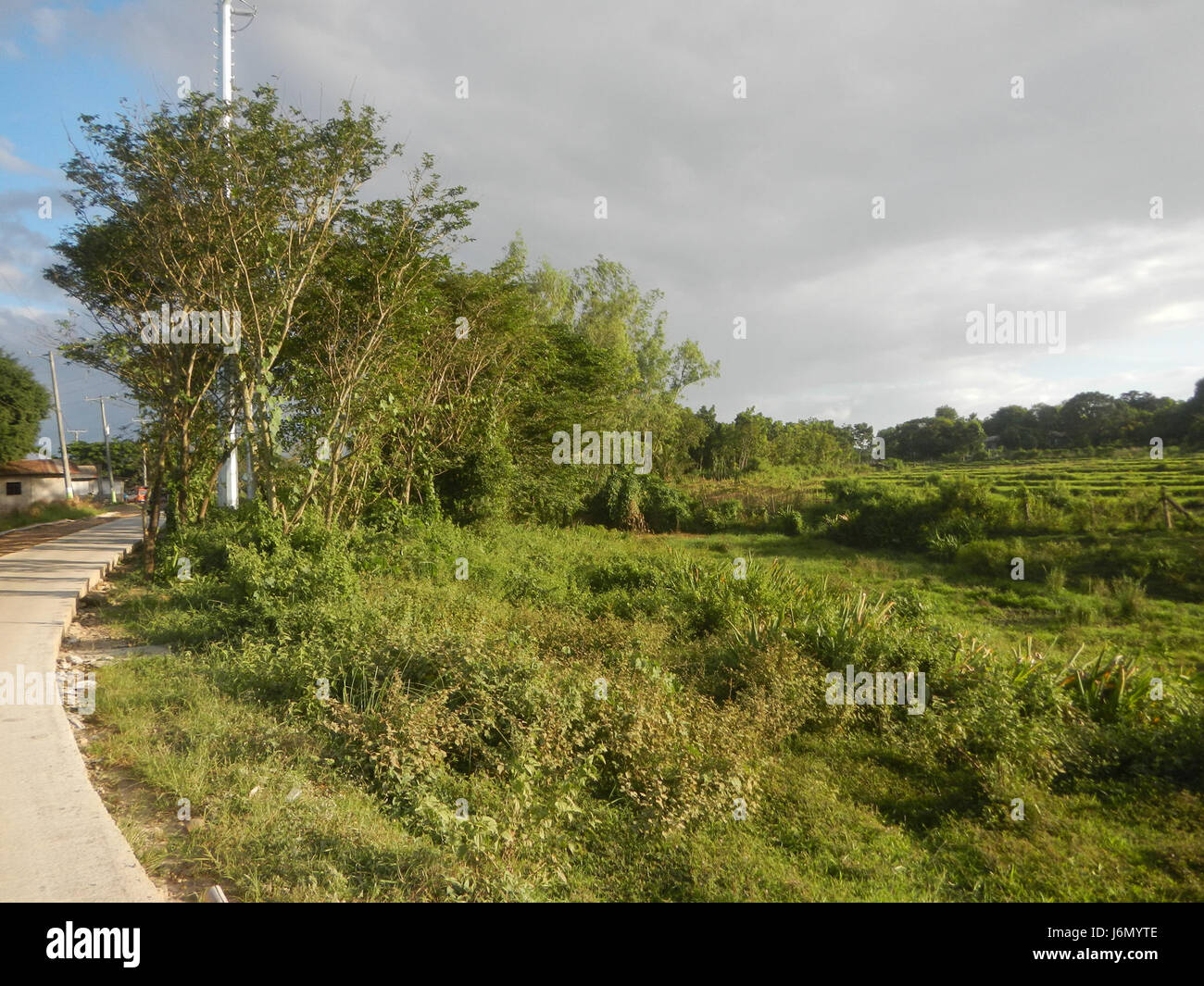 A snapshot of a road in San Rafael, Bulacan, Philippines, showcasing ...