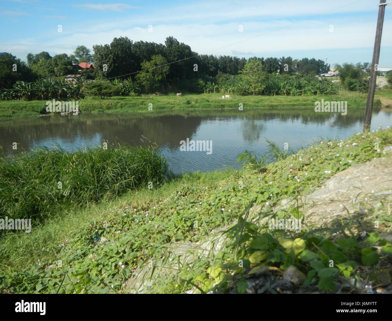 This image captures the Santa Maria Bulacan Bridge, located along the ...
