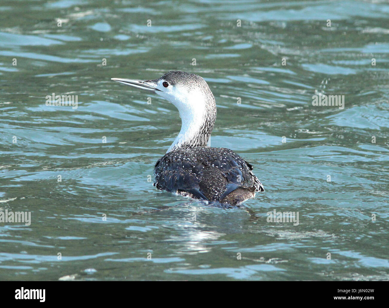 Morro bay map hi-res stock photography and images - Alamy